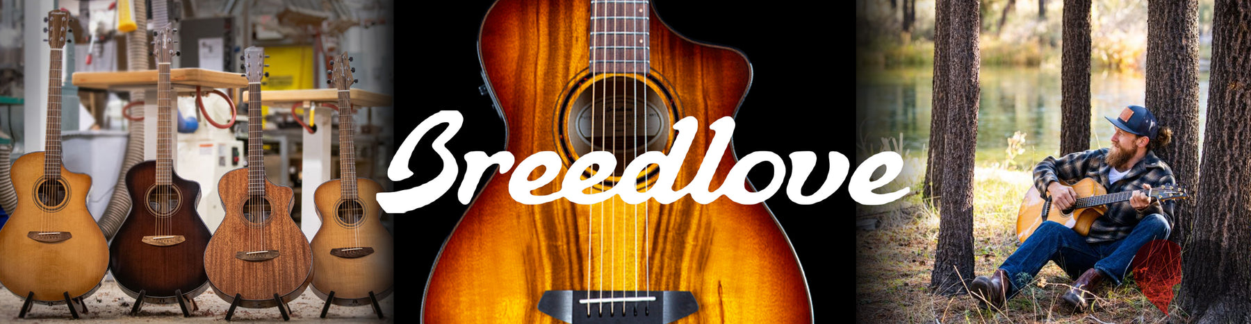 Breedlove Guitars for Sale | Heartbreaker Guitars | Breedlove Dealer