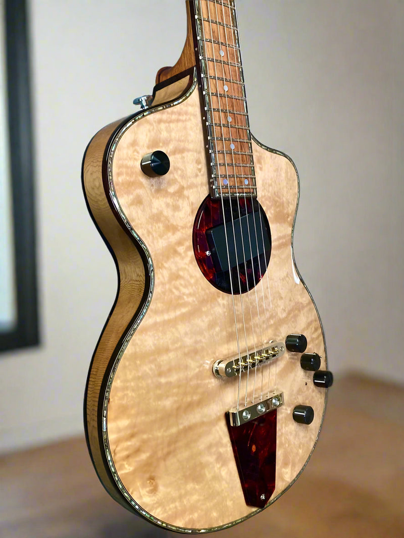 Rick Turner Guitars for Sale | Heartbreaker Guitars | #1 Turner Dealer